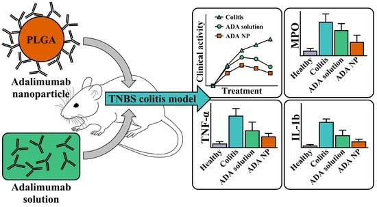 About AffinityImmuno | Quality Biologicals for All